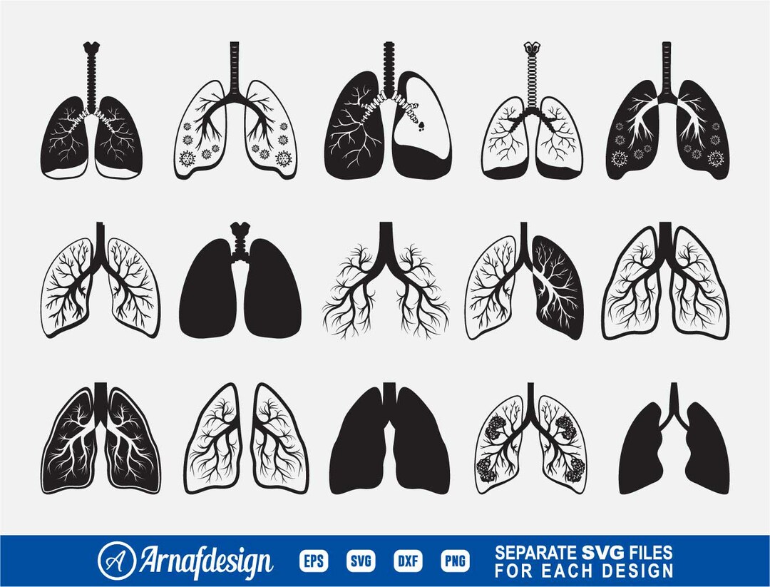 Lung SVG, Medical Image Svg, Human Lung Svg, Bronchial Svg, Clipart ...