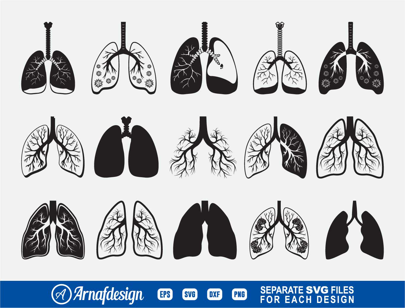 Lung SVG, Medical Image Svg, Human Lung Svg, Bronchial Svg, Clipart ...