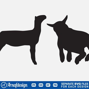 Show Lamb SVG, Market Lamb Svg, Sheep Svg, Show Sheep Svg, Clipart, Cut ...