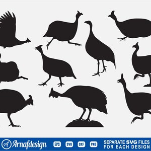 Guinea Fowl SVG, Guinea Svg, Fowl Svg, Bird Svg, Clipart, Cut Files for ...