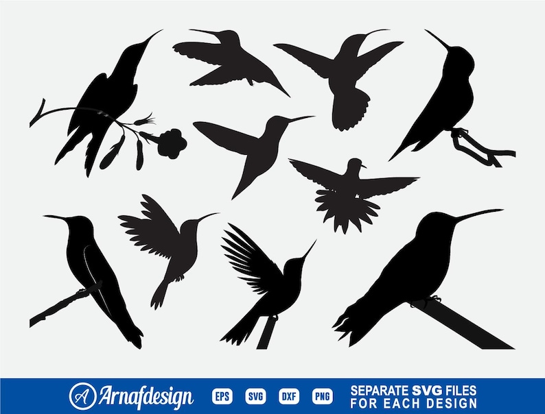 Hummingbird Svg, Flying Bird Svg, Bird Svg, Clipart, Cut Files for ...