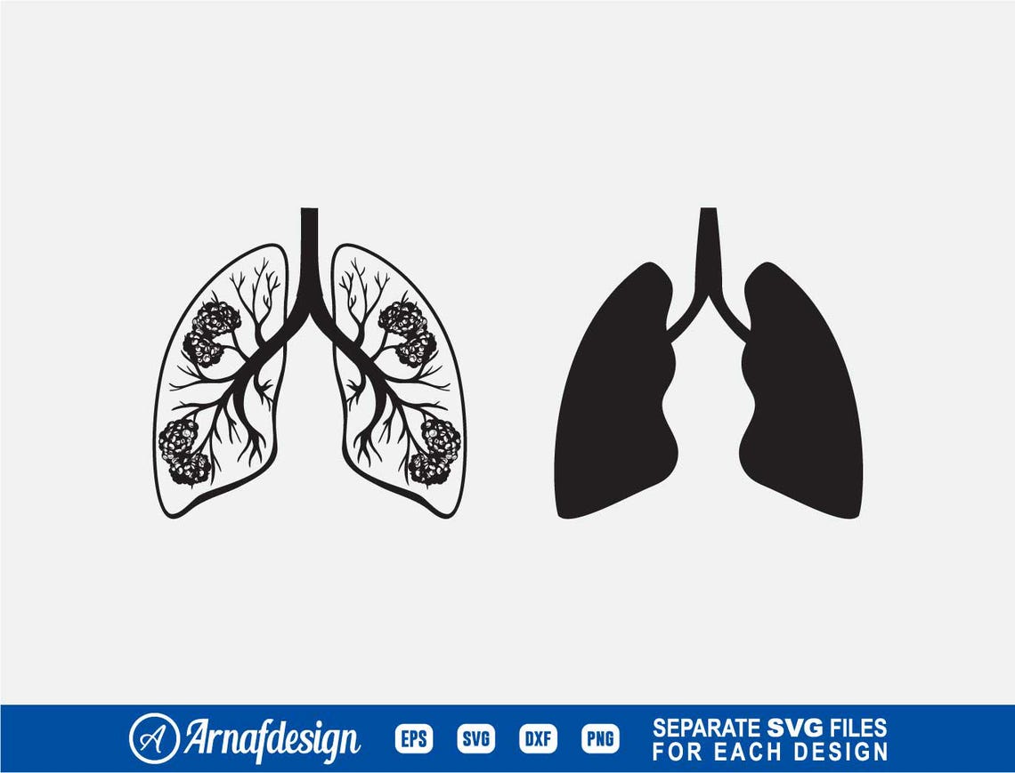 Lung SVG, Medical Image Svg, Human Lung Svg, Bronchial Svg, Clipart ...
