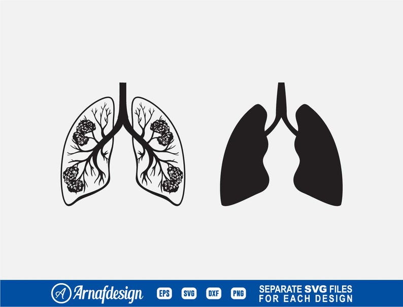 Lung SVG, Medical Image Svg, Human Lung Svg, Bronchial Svg, Clipart ...