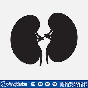 Kidney SVG, Kidney Anatomy Svg, Disease Svg, Clipart, Cut Files for ...