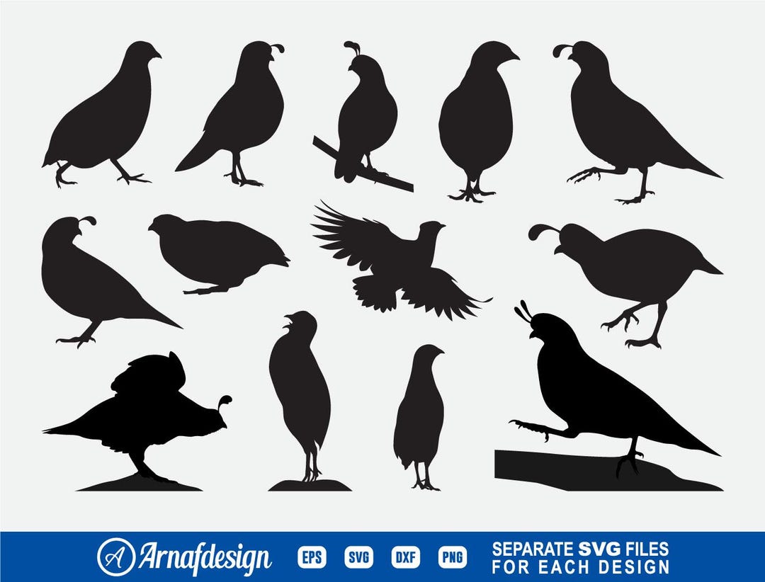 Quail SVG, Quail Bird Svg, Clipart, Cut Files for Silhouette, Files for ...