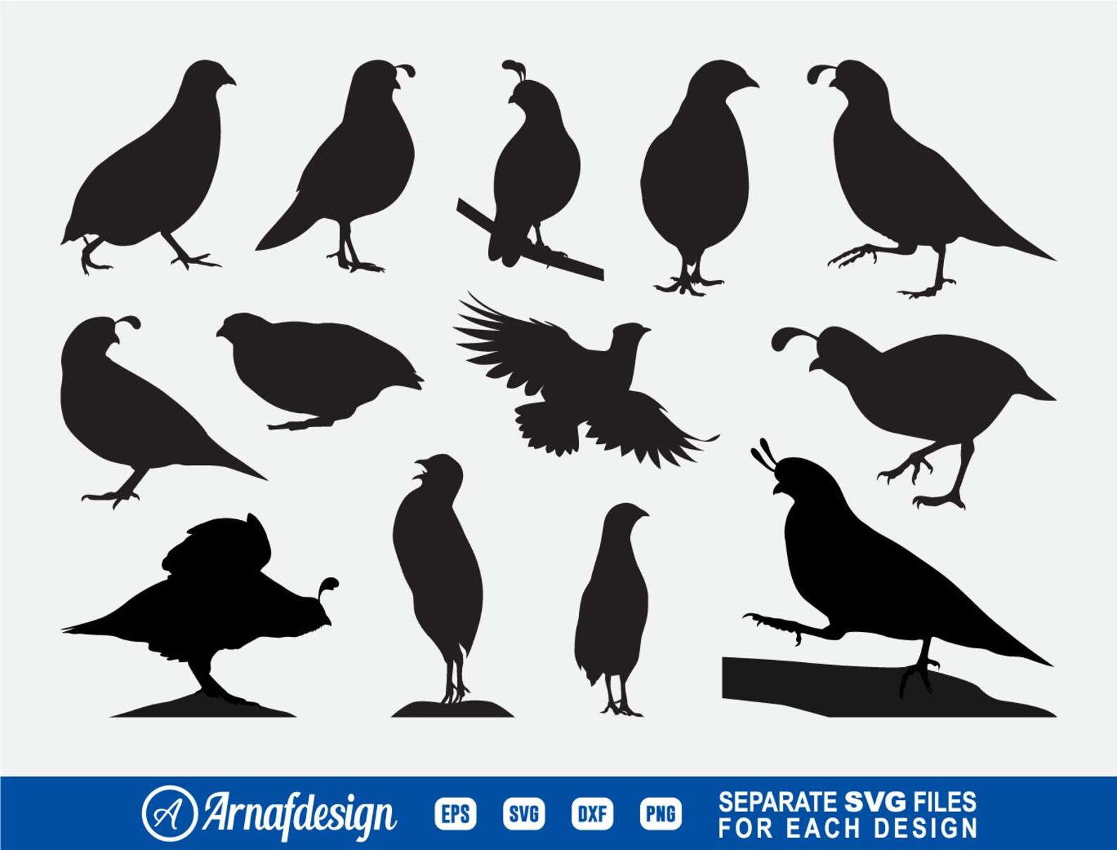 Quail SVG, Quail Bird Svg, Clipart, Cut Files for Silhouette, Files for ...