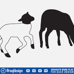 Show Lamb #2 SVG, Lamb Svg, Market Lamb Svg, Sheep Svg, Show Sheep Svg ...