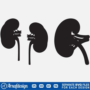 Kidney SVG, Kidney Anatomy Svg, Disease Svg, Clipart, Cut Files for ...