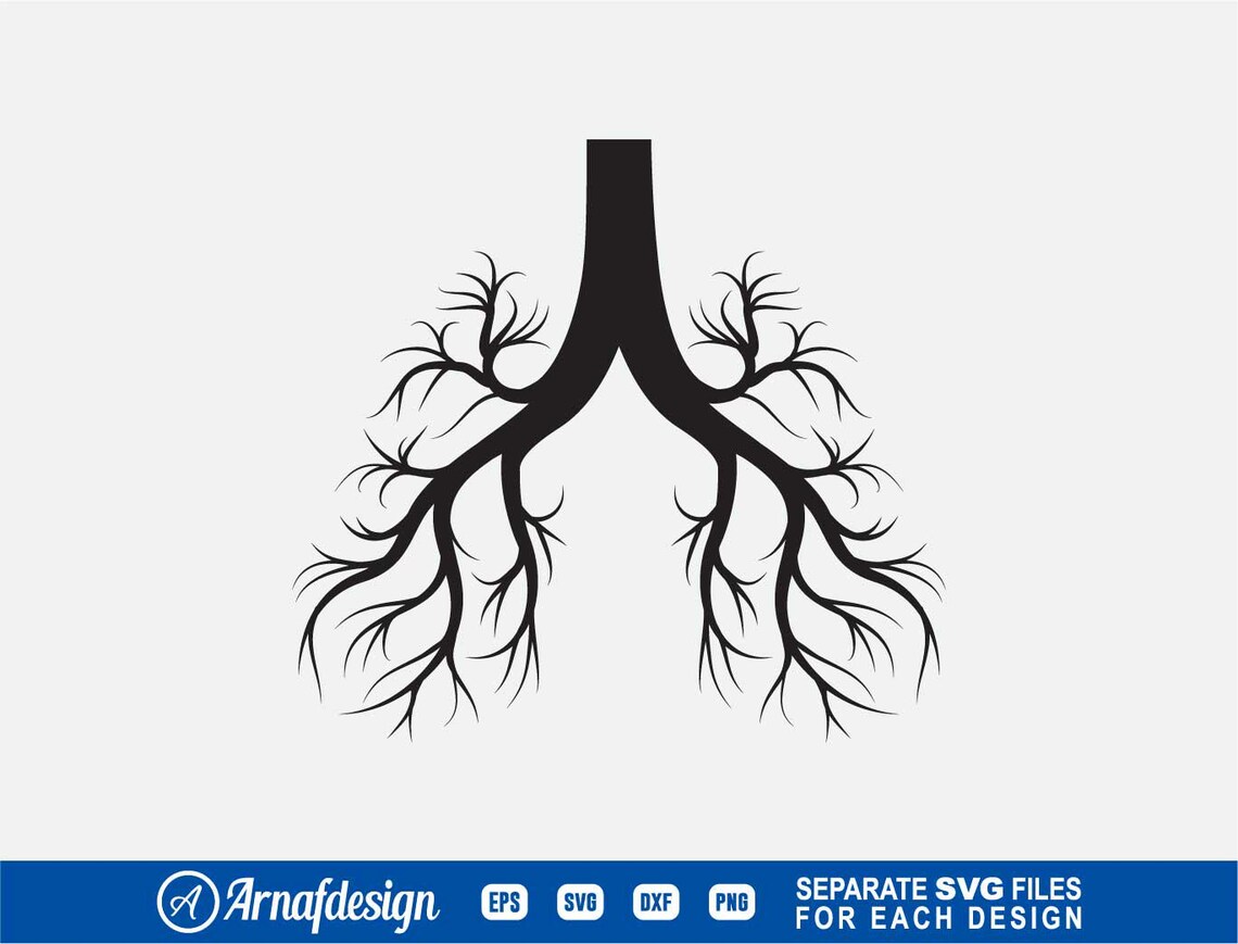 Lung SVG, Medical Image Svg, Human Lung Svg, Bronchial Svg, Clipart ...