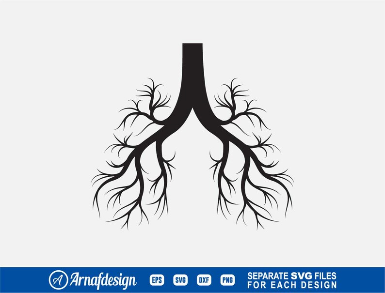 Lung SVG, Medical Image Svg, Human Lung Svg, Bronchial Svg, Clipart ...