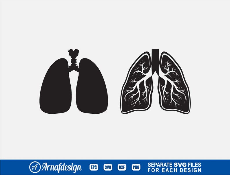 Lung SVG, Medical Image Svg, Human Lung Svg, Bronchial Svg, Clipart ...