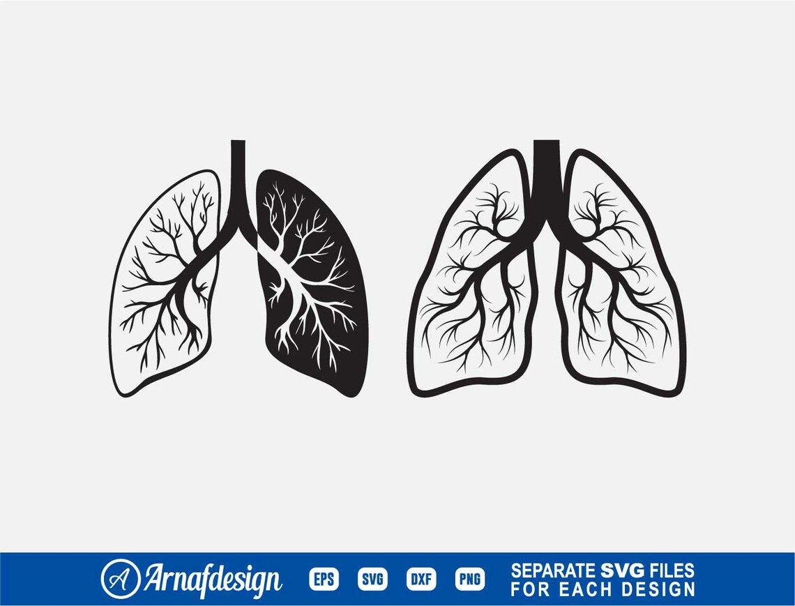 Lung SVG, Medical Image Svg, Human Lung Svg, Bronchial Svg, Clipart ...