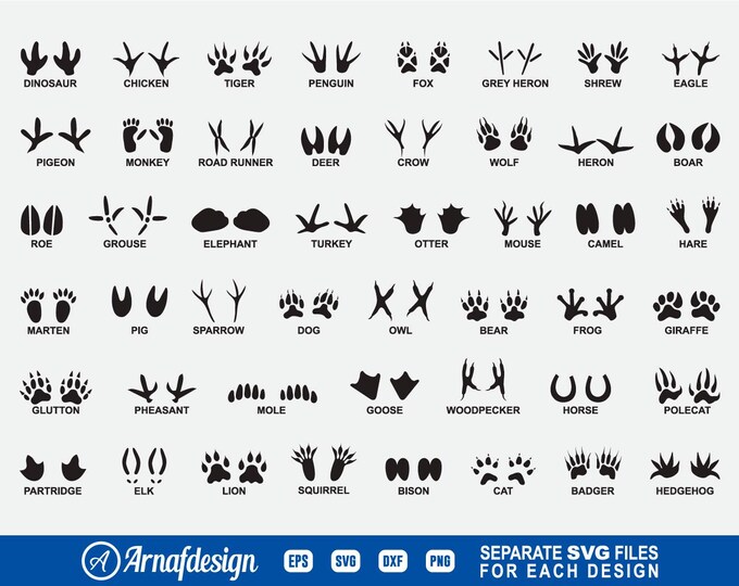 Tier Fuß Druck svg, Fußabdruck svg, Fuß svg, Füße svg, Clipart Vektor ...