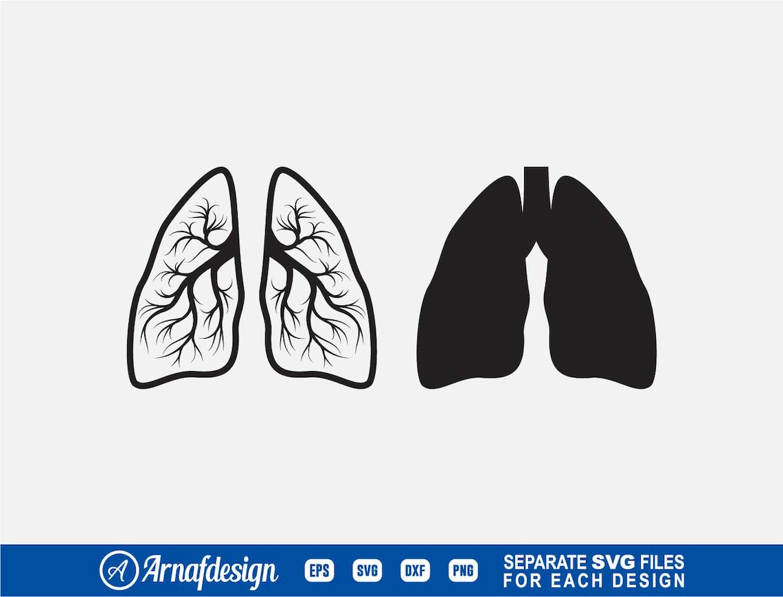 Lung SVG, Medical Image Svg, Human Lung Svg, Bronchial Svg, Clipart ...