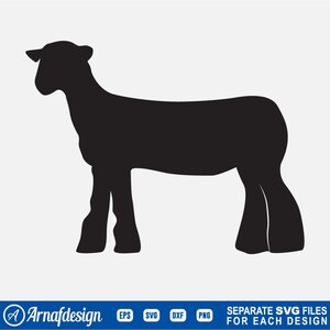 Show Lamb SVG, Market Lamb Svg, Sheep Svg, Show Sheep Svg, Clipart, Cut ...