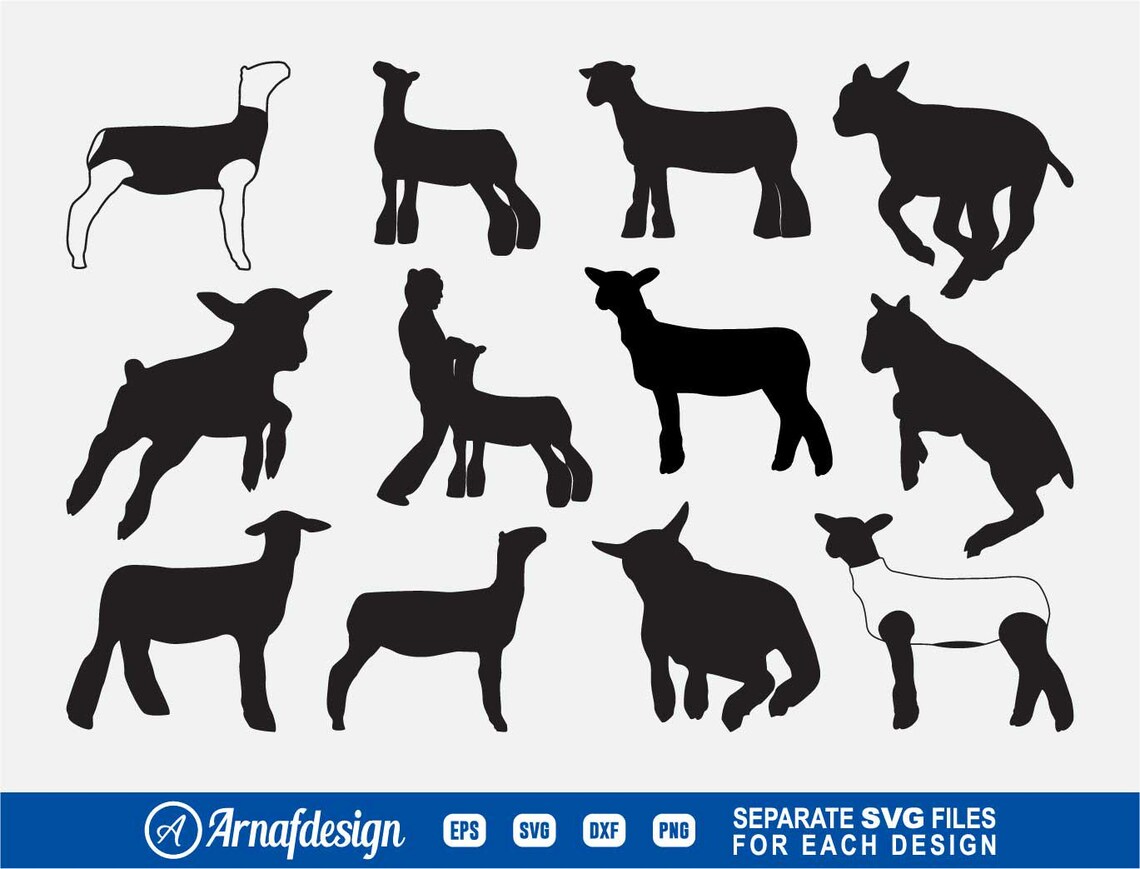 Show Lamb SVG, Market Lamb Svg, Sheep Svg, Show Sheep Svg, Clipart, Cut ...