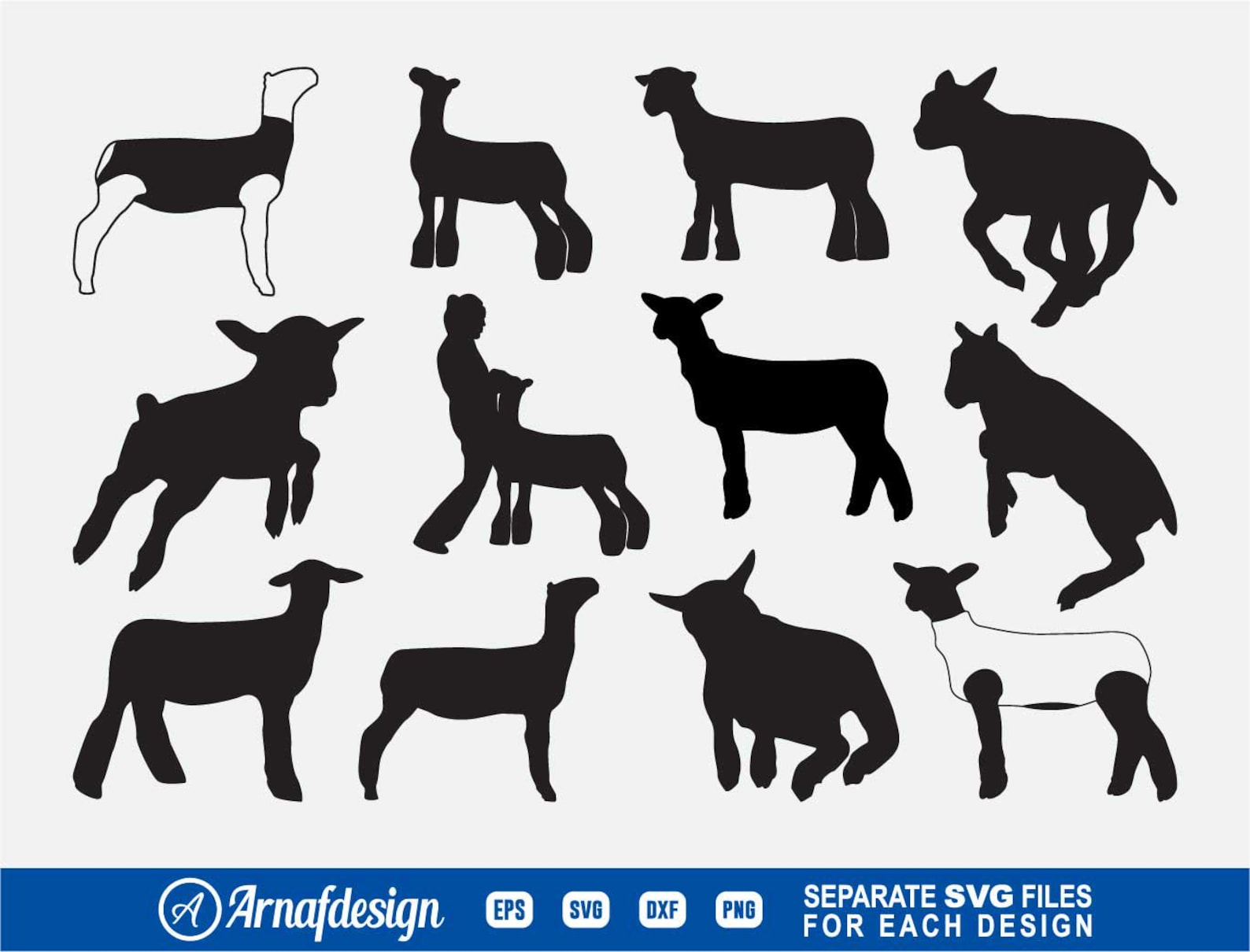Show Lamb SVG, Market Lamb Svg, Sheep Svg, Show Sheep Svg, Clipart, Cut ...