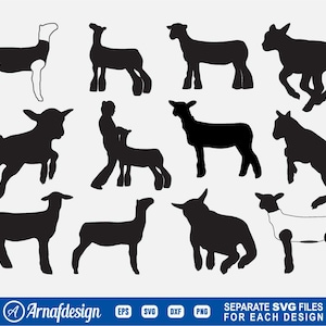 Show Lamb SVG, Market Lamb Svg, Sheep Svg, Show Sheep Svg, Clipart, Cut ...