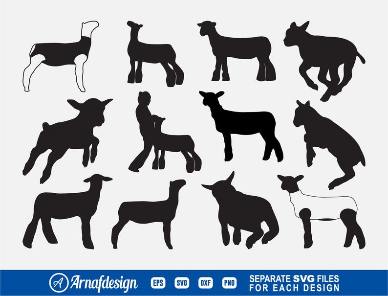 Show Lamb SVG, Market Lamb Svg, Sheep Svg, Show Sheep Svg, Clipart, Cut ...