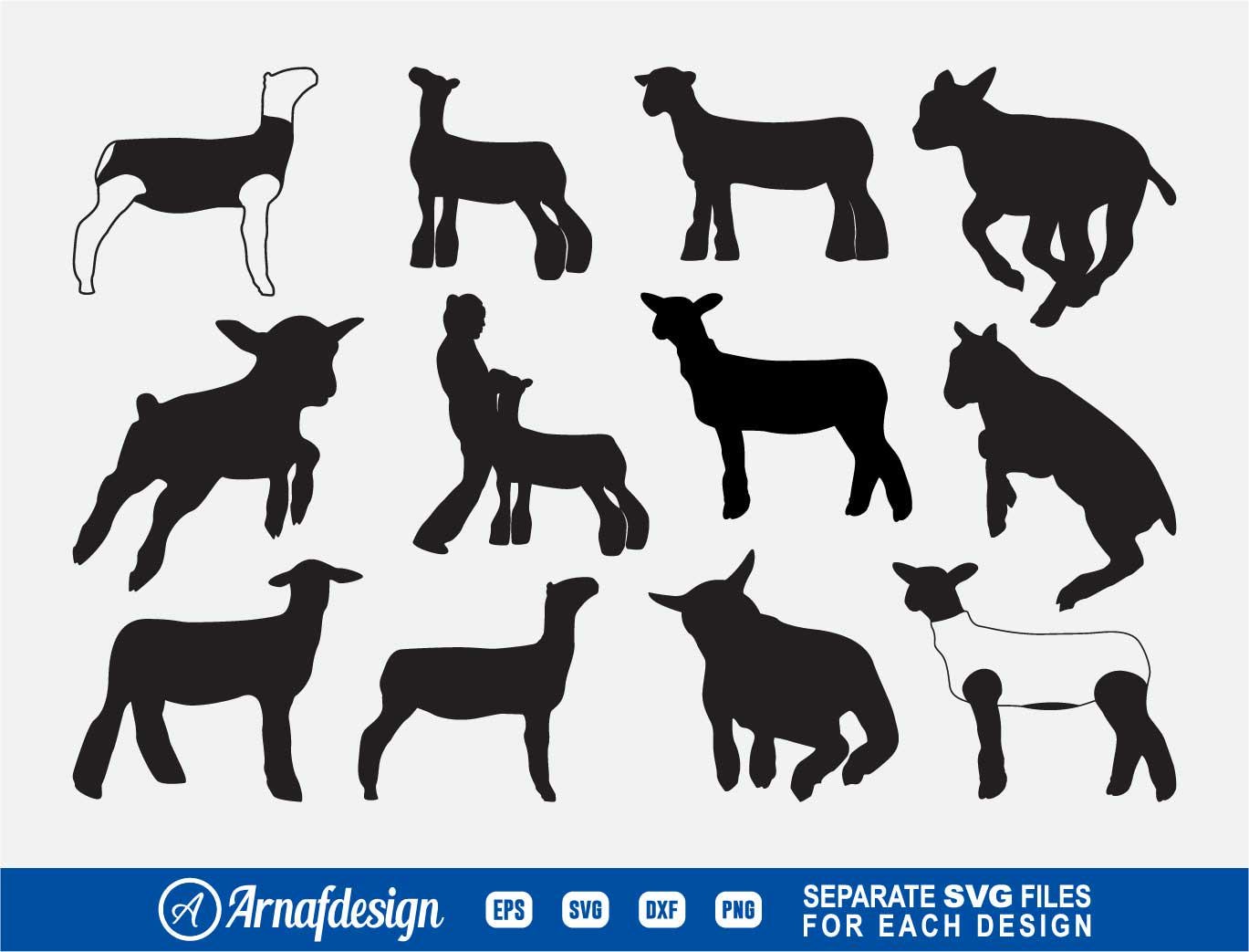 Show Lamb SVG, Market Lamb Svg, Sheep Svg, Show Sheep Svg, Clipart, Cut ...