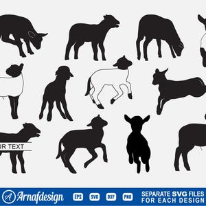 Show Lamb #2 SVG, Lamb Svg, Market Lamb Svg, Sheep Svg, Show Sheep Svg ...