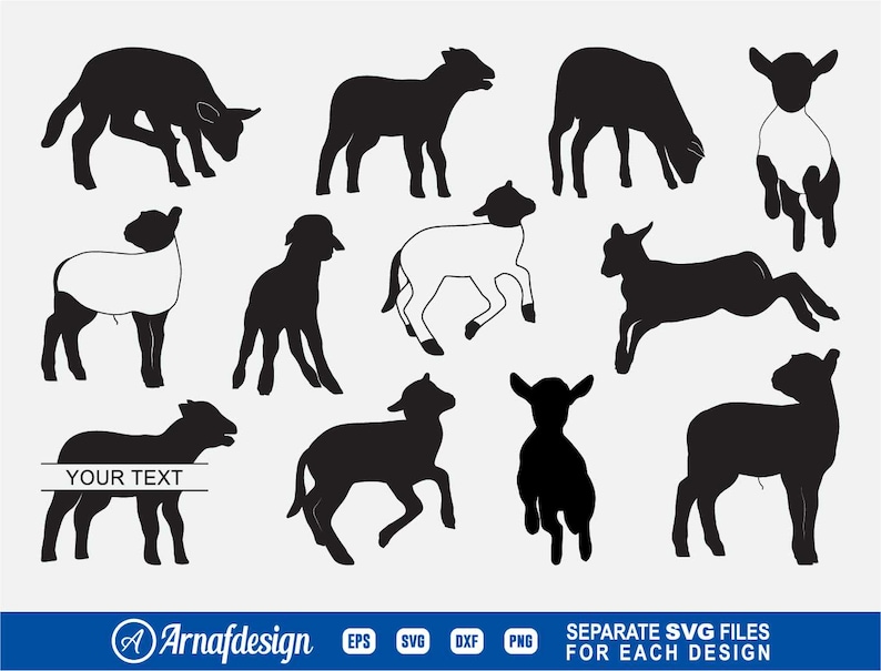 Show Lamb #2 SVG, Lamb Svg, Market Lamb Svg, Sheep Svg, Show Sheep Svg ...