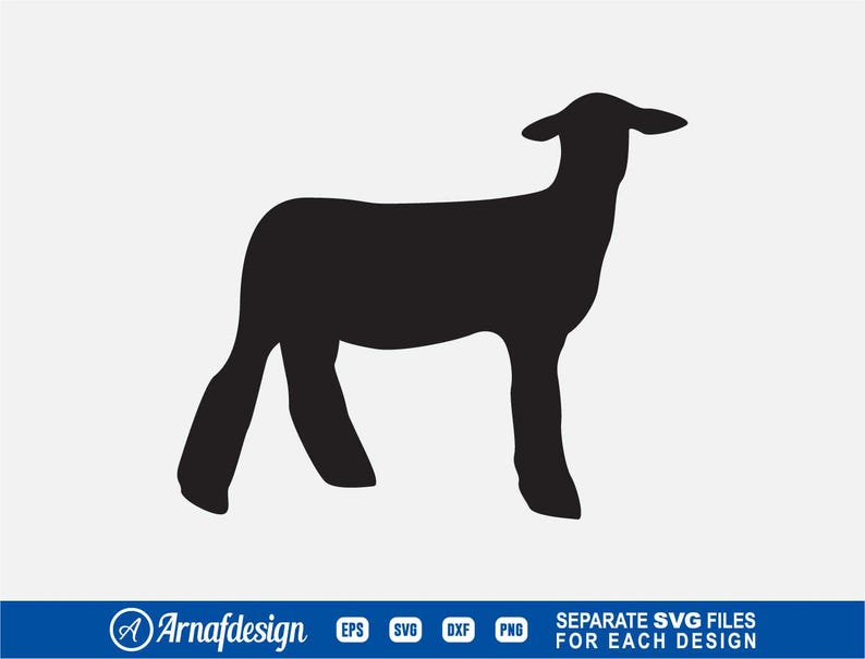 Show Lamb SVG, Market Lamb Svg, Sheep Svg, Show Sheep Svg, Clipart, Cut ...