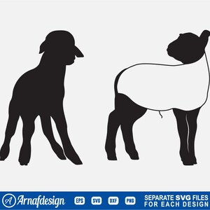 Show Lamb #2 SVG, Lamb Svg, Market Lamb Svg, Sheep Svg, Show Sheep Svg ...