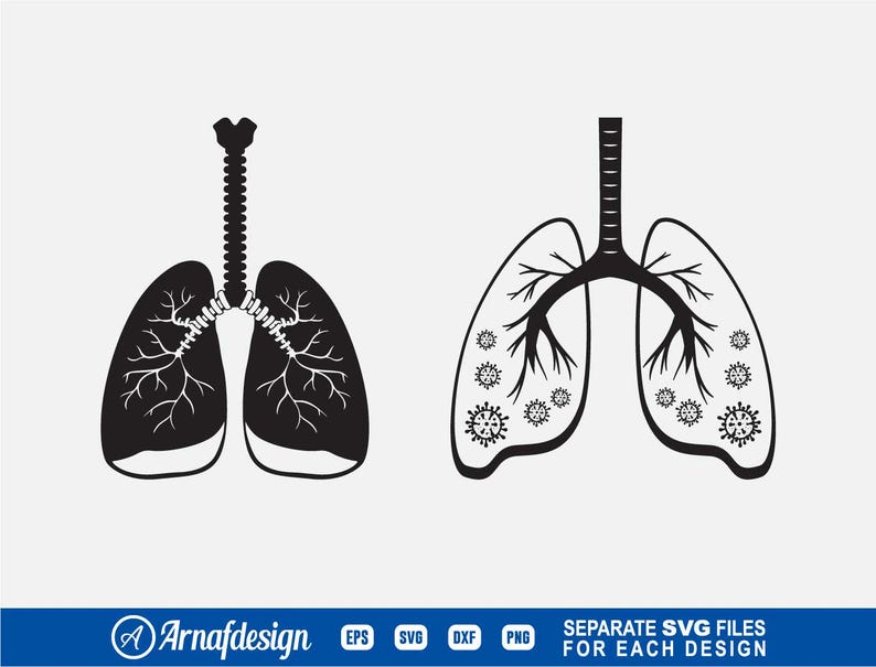 Lung SVG, Medical Image Svg, Human Lung Svg, Bronchial Svg, Clipart ...