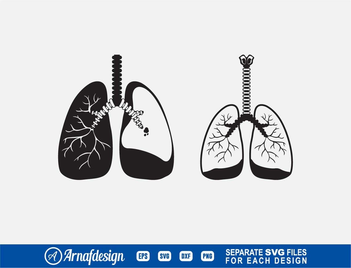 Lung SVG, Medical Image Svg, Human Lung Svg, Bronchial Svg, Clipart ...