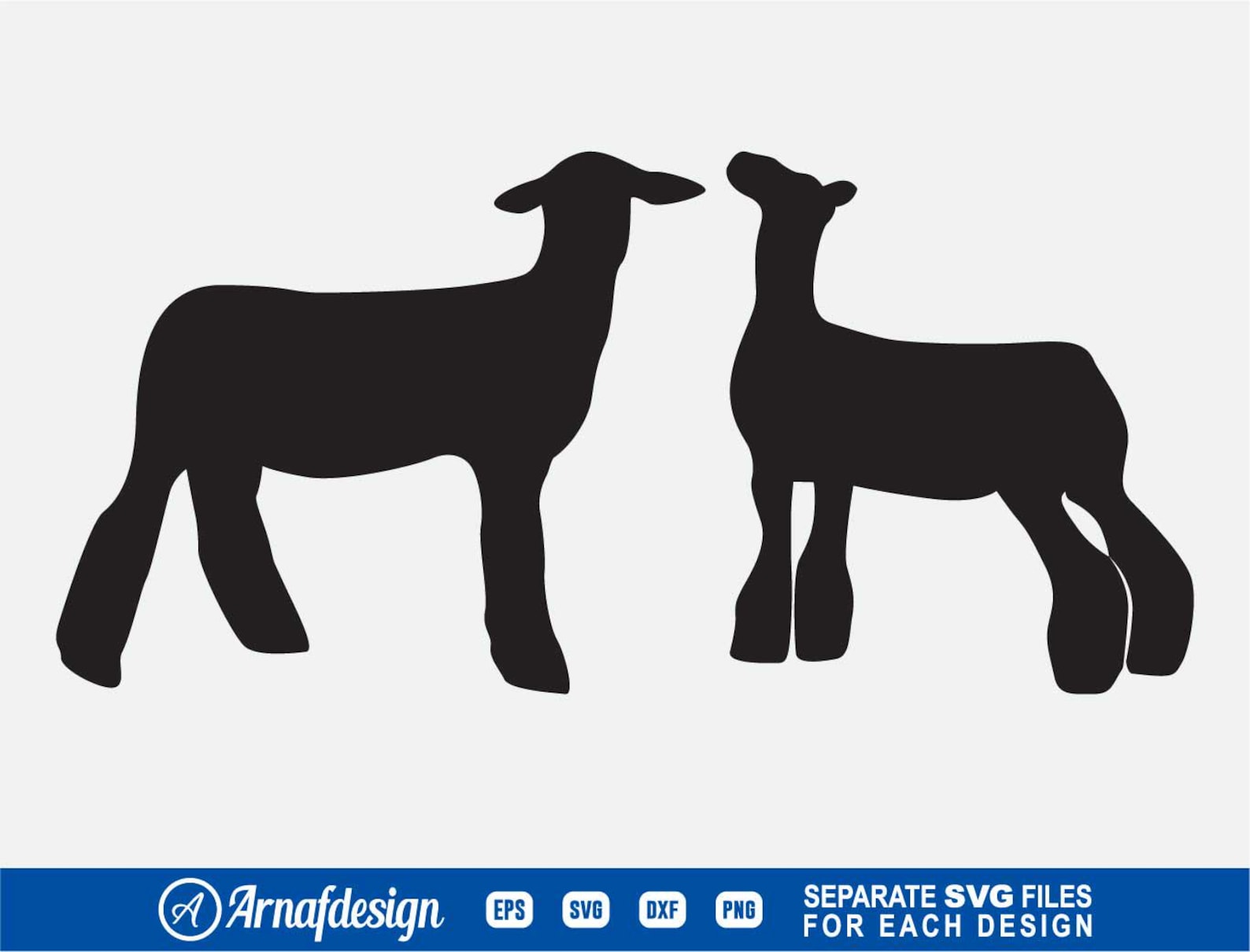 Show Lamb SVG, Market Lamb Svg, Sheep Svg, Show Sheep Svg, Clipart, Cut ...