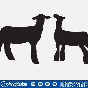 Show Lamb SVG, Market Lamb Svg, Sheep Svg, Show Sheep Svg, Clipart, Cut ...