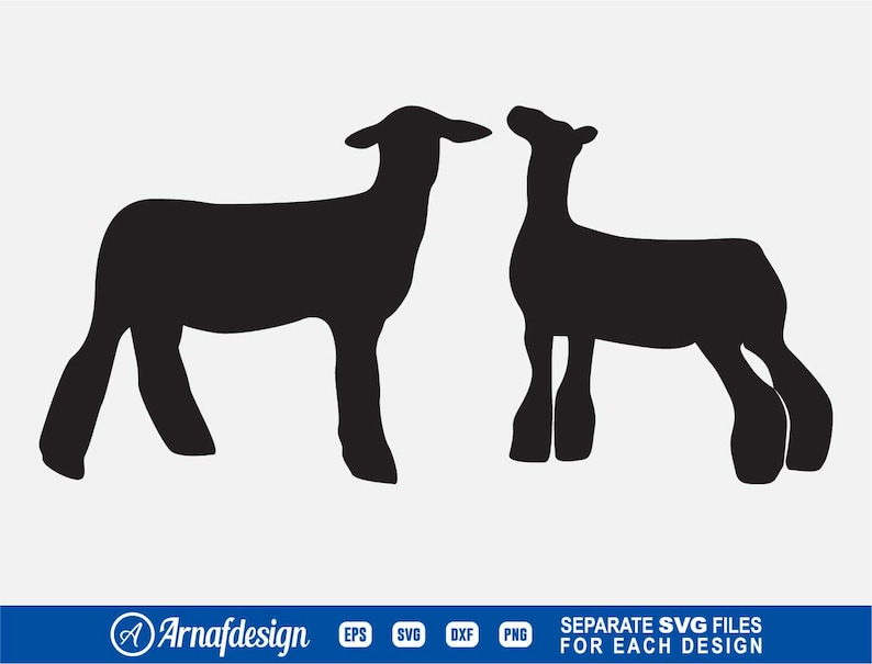 Show Lamb SVG, Market Lamb Svg, Sheep Svg, Show Sheep Svg, Clipart, Cut ...