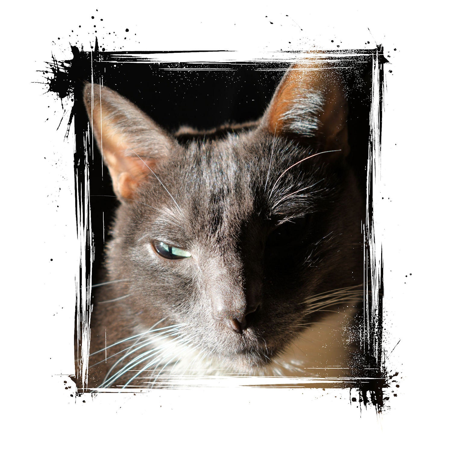 60 White Grunge Frames Transparent Overlay, Photo Borders PNG, Grungy ...