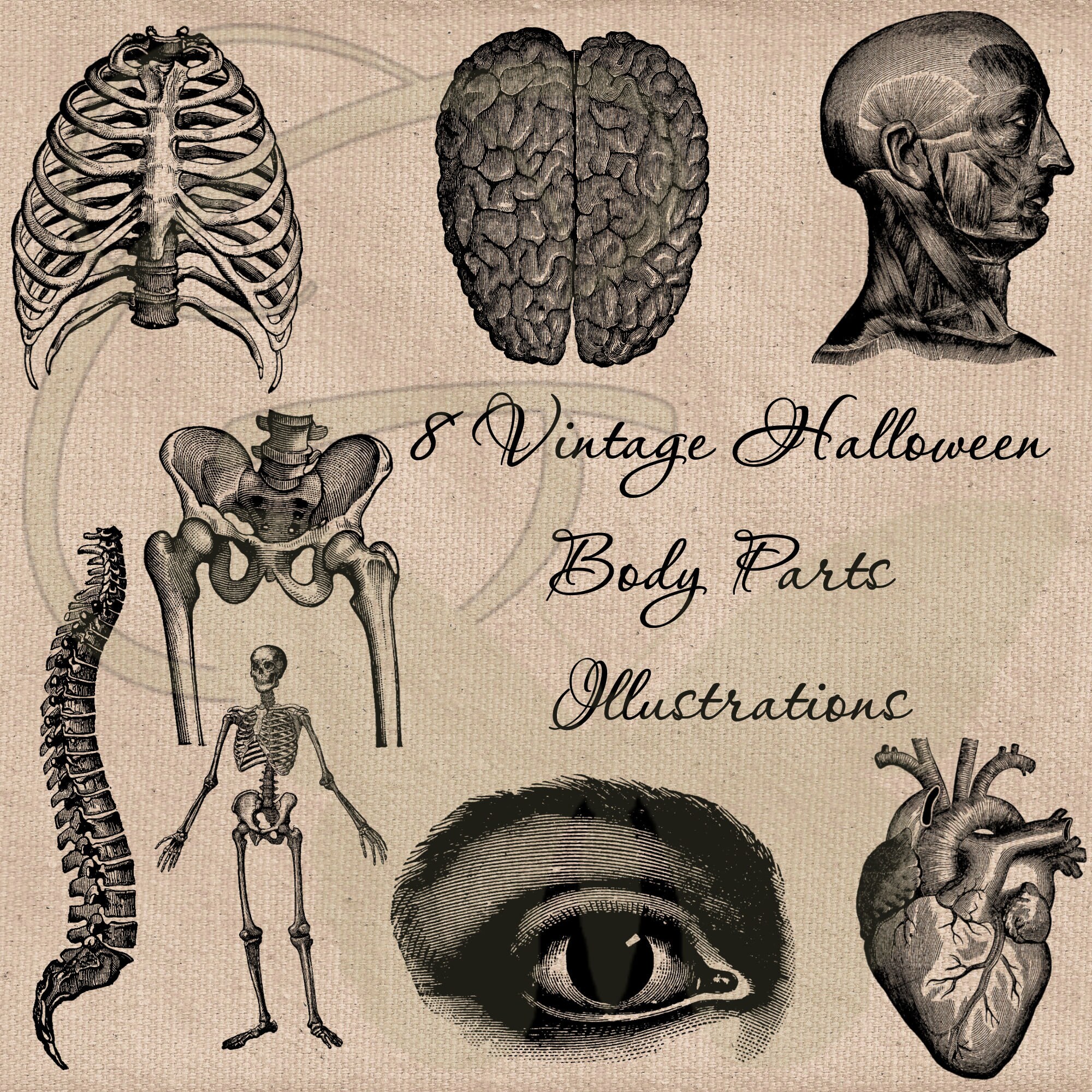 Body Part Halloween Clipart