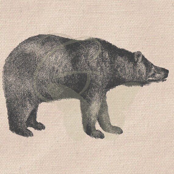 Brown Bear Clip Art Black And White