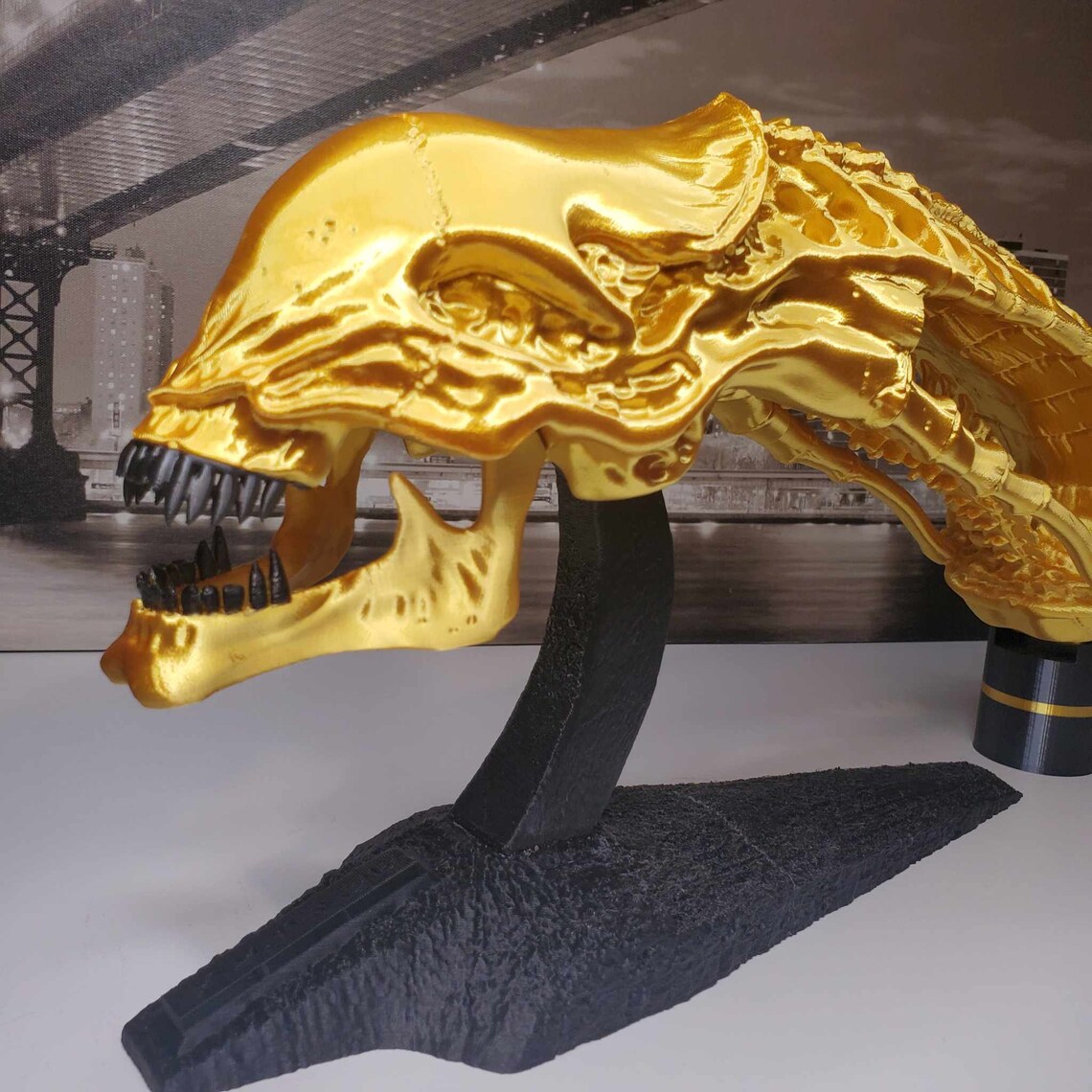 Predator and Xenomorph Alien Skull Model Figurine 3D Printed Large ...