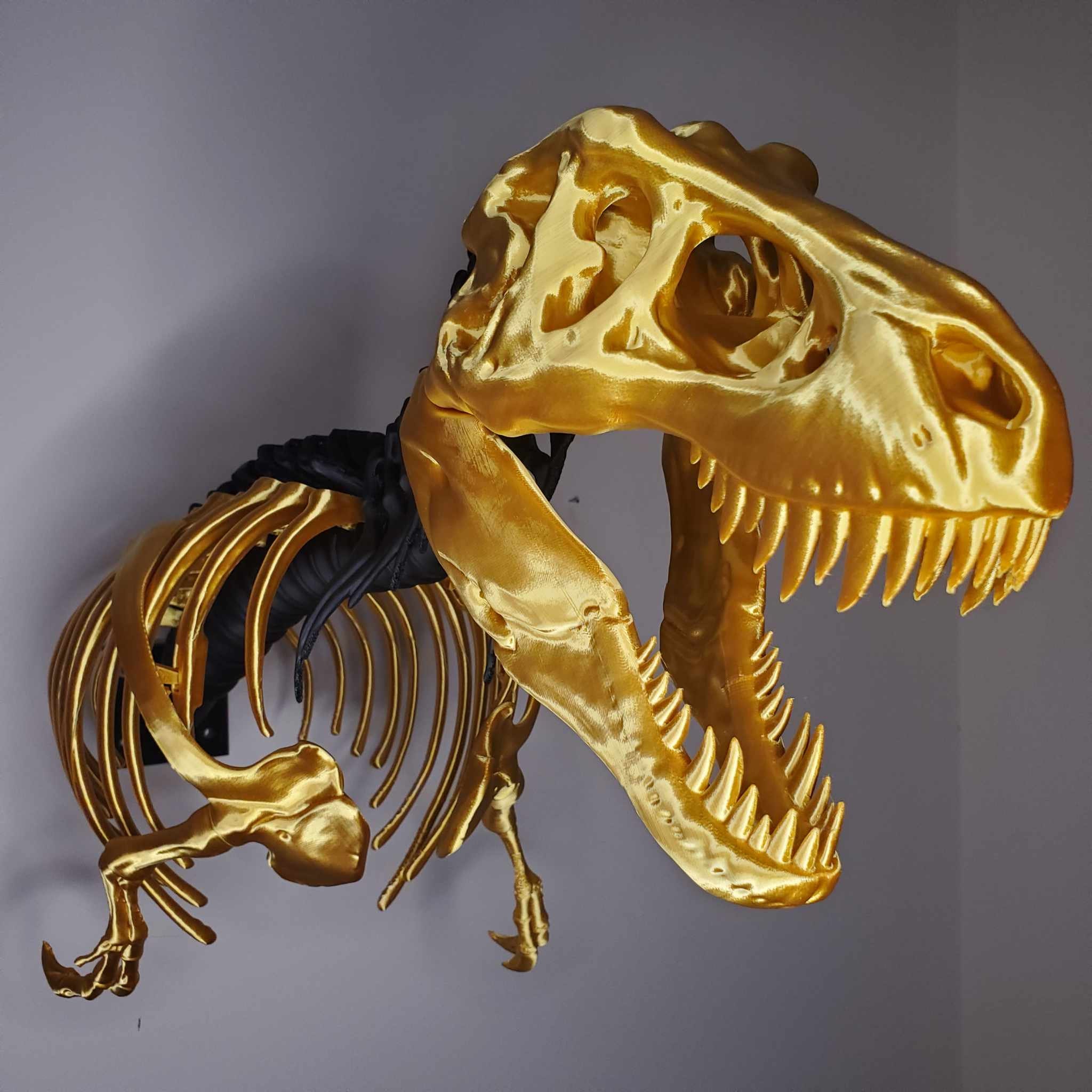 3d Printed T-REX, Tyrannosaurus Rex Baby Skeleton Model Dinosaur WALL ...