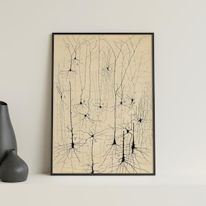 Antique Anatomical Illustration, Neuron Drawing by Santiago Ramón Y ...