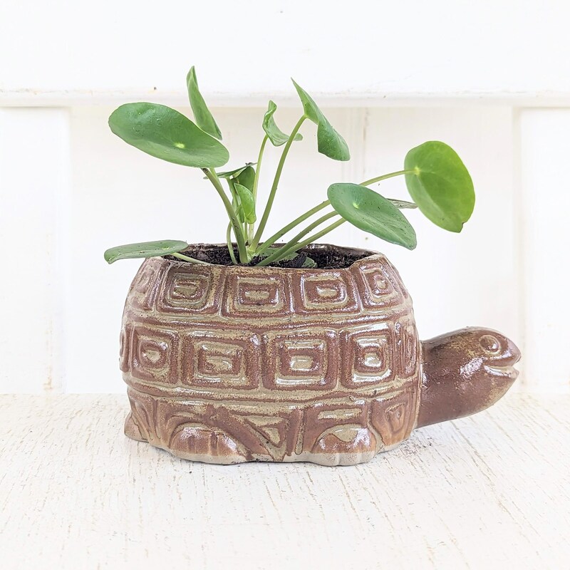 Ceramic Turtle - Etsy