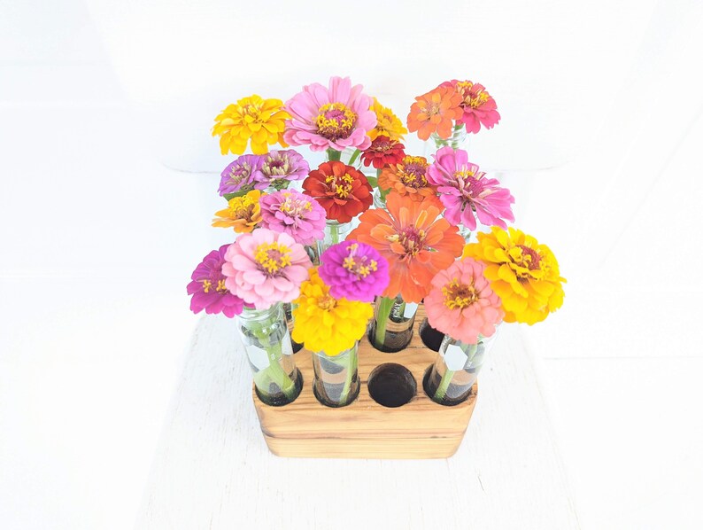 Vintage Test Tube Rack Wood Science Rack Vintage Science - Etsy