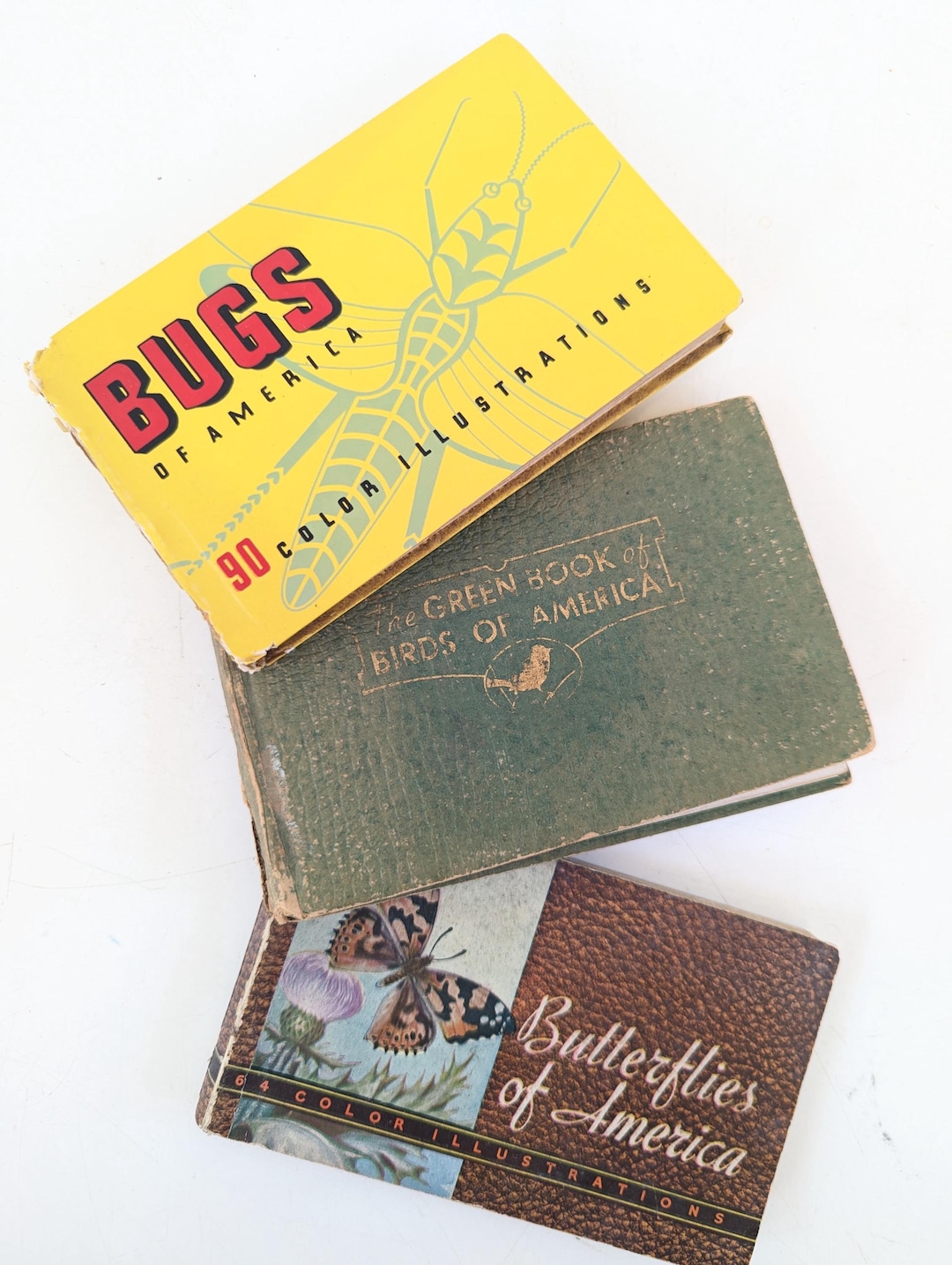 Vintage Guide Books, Vintage Bird Guide Book, Vintage Bug Guide Book ...