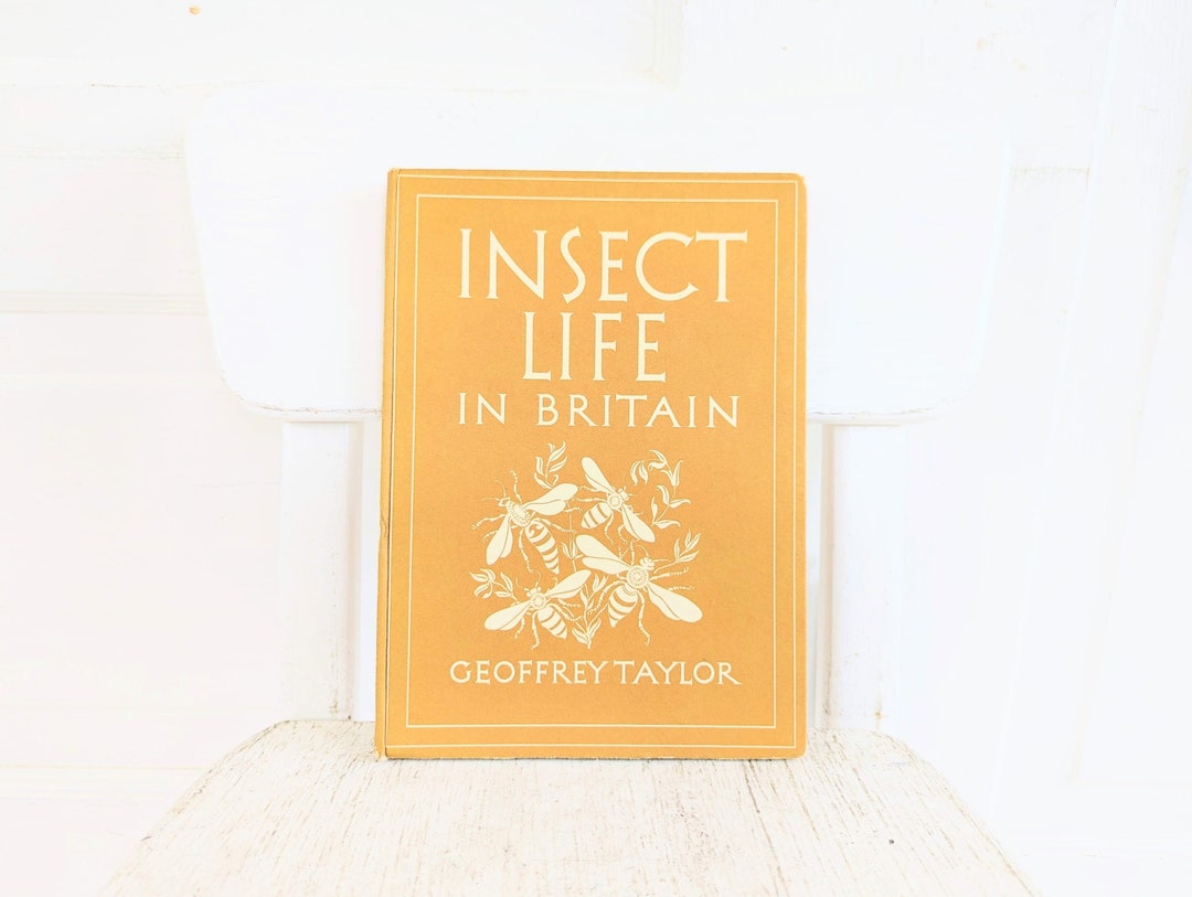 Vintage Insect Book, Vintage Book About Bugs, Vintage Book About ...