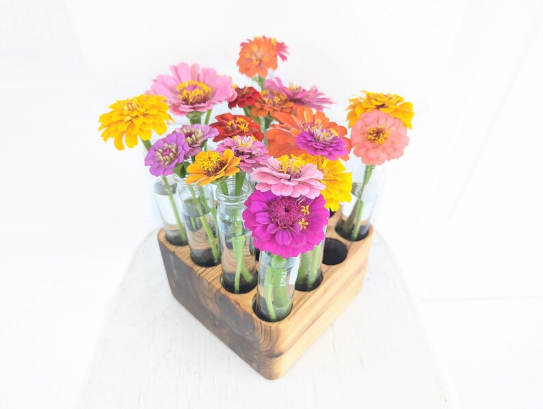 Vintage Test Tube Rack Wood Science Rack Vintage Science - Etsy