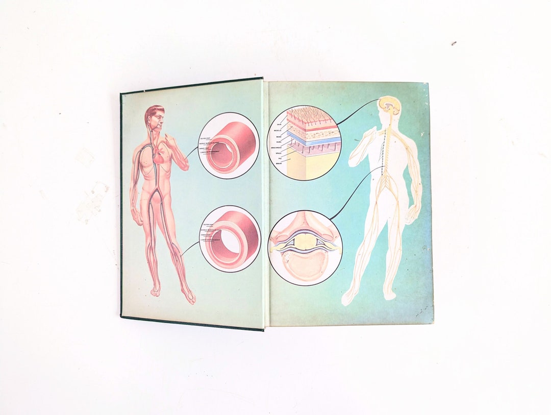 Vintage Medical Book, Vintage Health Book, Vintage Encyclopedia ...
