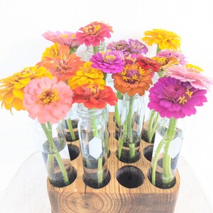 Vintage Test Tube Rack Wood Science Rack Vintage Science - Etsy