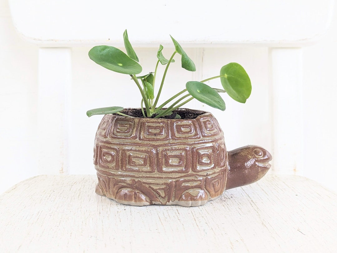 Vintage Turtle Pot, Vintage Turtle Planter, Vintage Ceramic Turtle ...