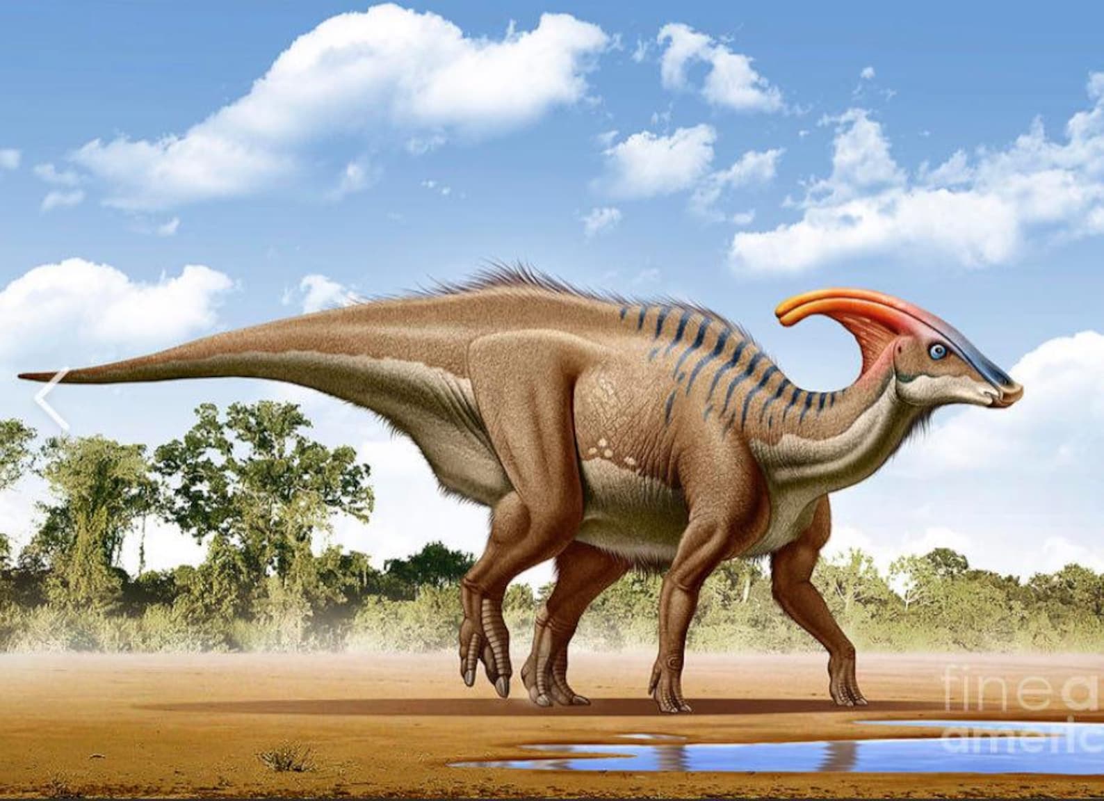 Dinosaur, Spirit Companion - Etsy