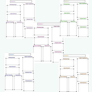 Disease Process Template - Etsy