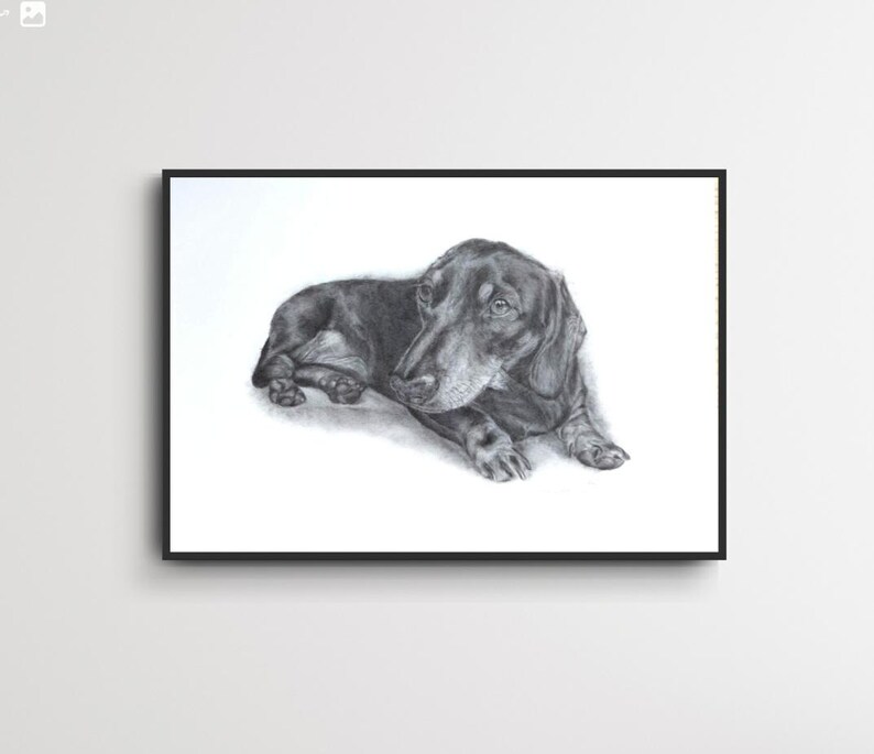 Digital Print of Original Dachshund Artwork. Dachshund Graphite Pencil ...